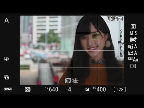 Nikon Z7 II AF Performance