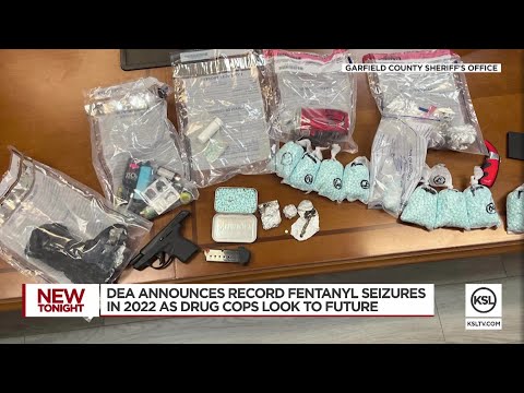 DEA announces record fentanyl seizures as local cops eye future of drug