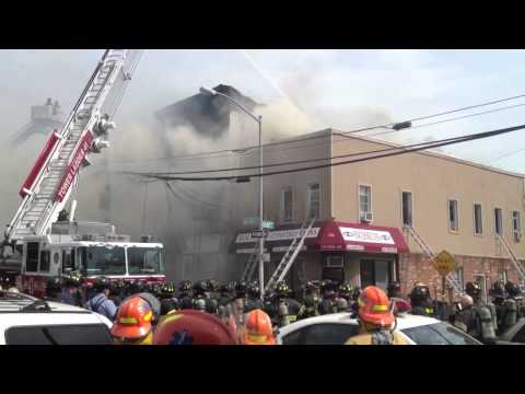 Bronx #44-3217
