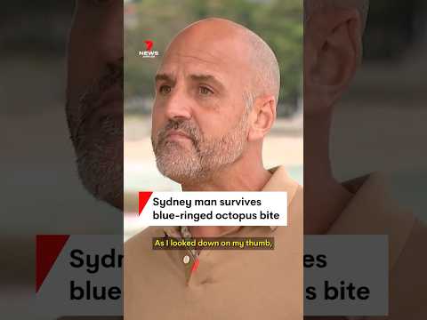 Sydney man survives blue-ringed octopus bite