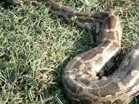 Keetham Lake Agra – Place Filled with Extraordinary Sights and Serene ...