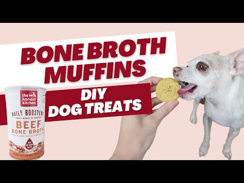Bone Broth Muffins: Dog Treat Recipe | Proud Dog Mom
