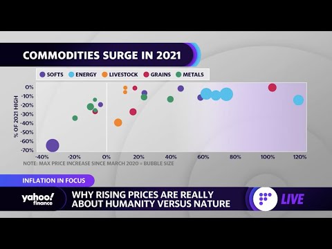 What rising commodity prices could tell us about humanity