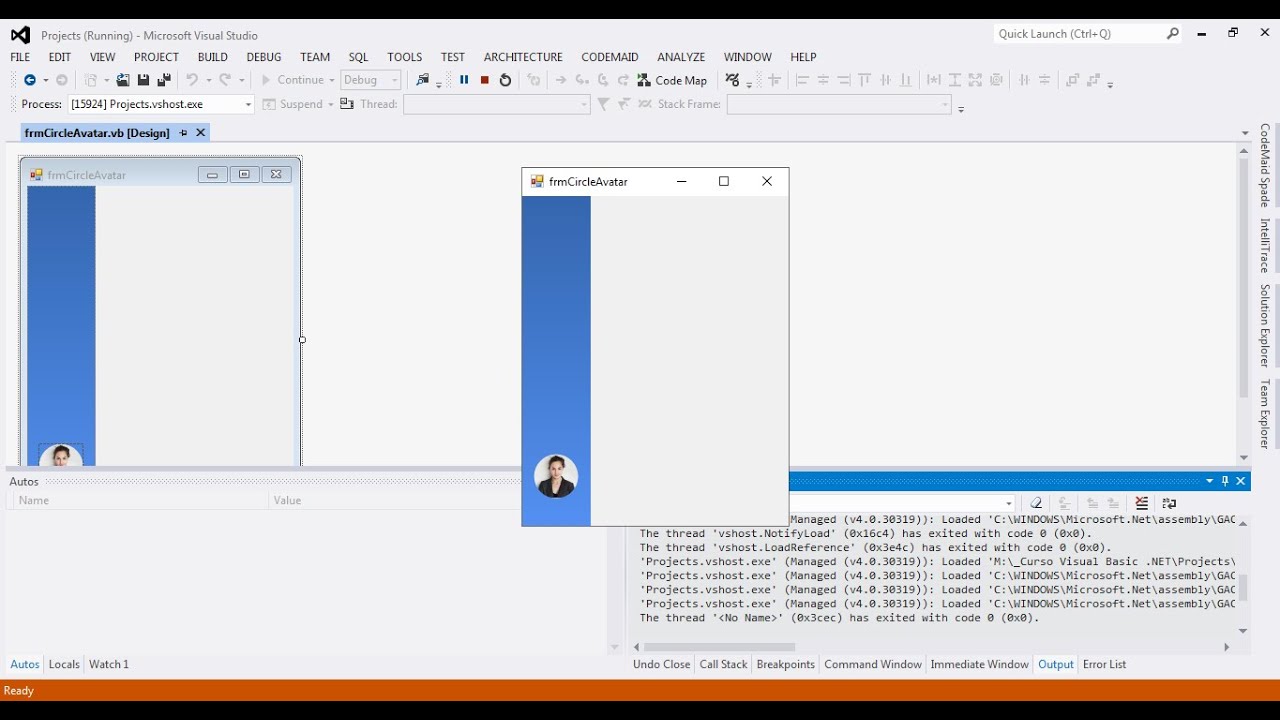 VB .Net - PictureBox [ CircleAvatar  ]