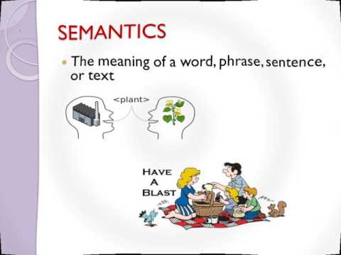 Five Major Components of Language | PSY334 VC