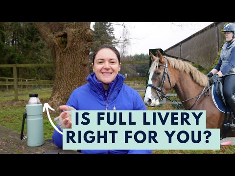 What is full livery? Discussing costs, how it works and why I choose it | Riding With Rhi