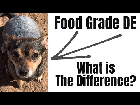 Is Food Grade Diatomaceous Earth Safe to Use for Flea Control?