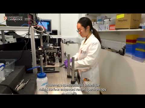 Nanophotonic Lab: Marika Niihori