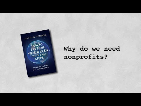 Professors in Print: "How to Save the World in Six (Not So Easy) Steps" by David Schizer (3 of 7)