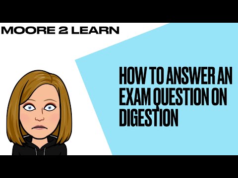 Worked Exam Question on Digestion KS3 Science