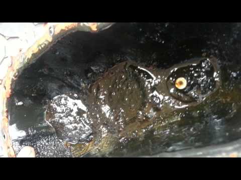 Forum support post: fj cruiser video sludge after atf and seafoam combined.
