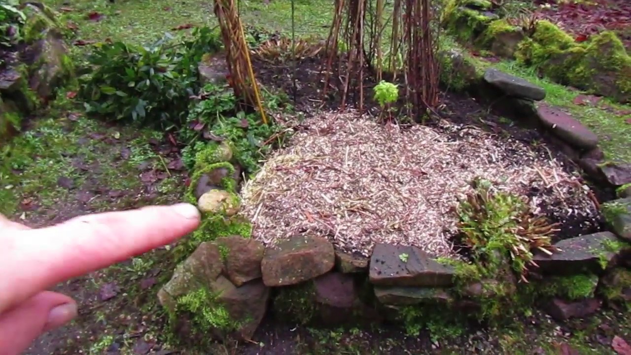 Preparing Potager Beds in the January Permaculture Garden