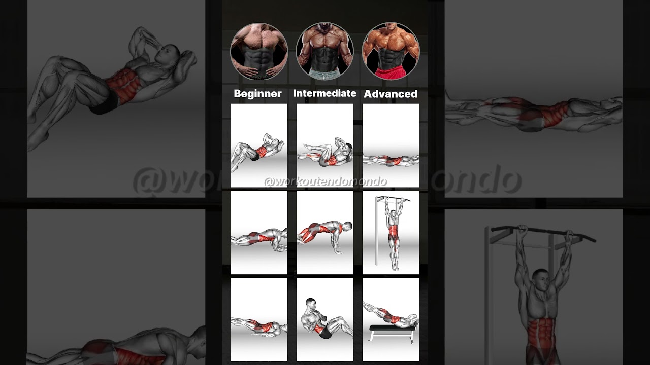 ABS WORKOUT for EVERYONE: From BEGINNER to ADVANCED for a Strong Core!
