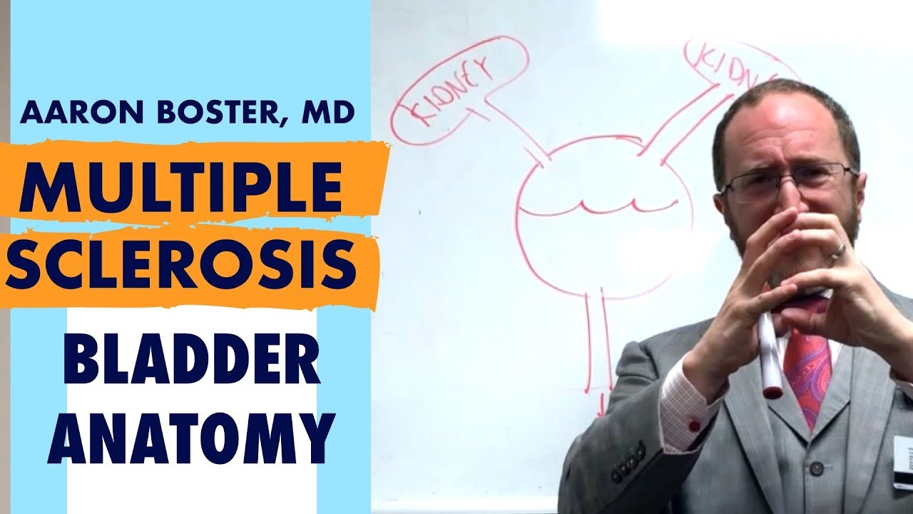 Multiple Sclerosis Bladder Issues: Three Most Common Problems
