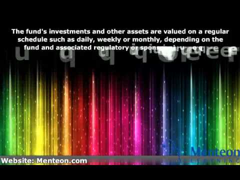Net Asset Value (NAV) - Business 101