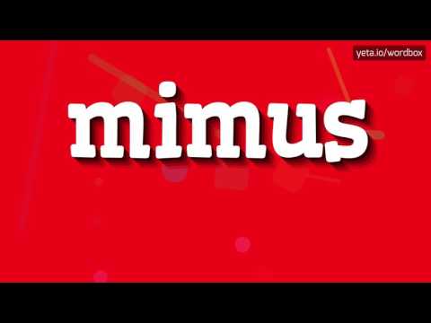 MIMUS - HOW TO PRONOUNCE IT!?