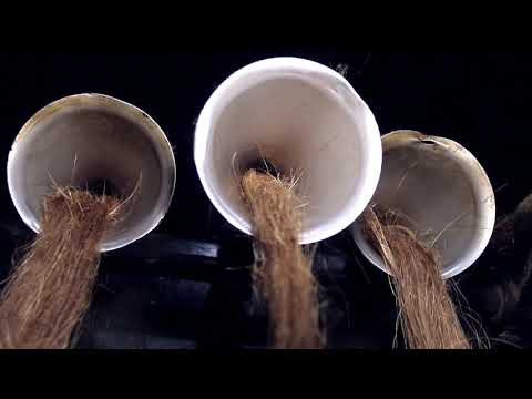 Manila Rope - Hemp Rope Latest Price, Manufacturers & Suppliers