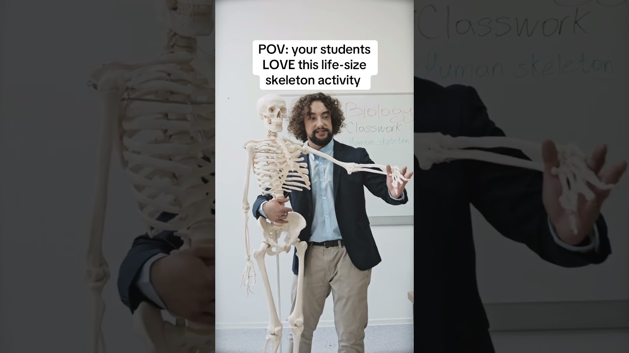 Students are obsessed with this life-size skeleton #ClassroomActivity #STEM