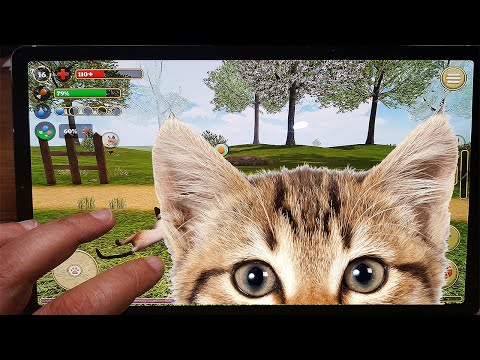 Cat Simulator 2020 #6 Cat Sim Online Game - Play with Cat Clan Pet Simulator 2020 - Android Gameplay