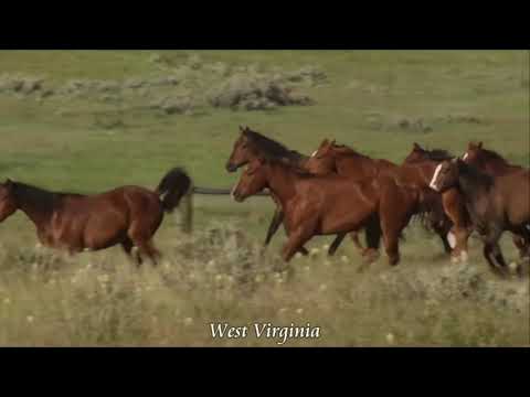 John Denver   Take Me Home,  Country Roads   HD with Lyrics
