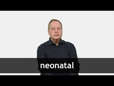 NEONATAL 释义 | 柯林斯英语词典
