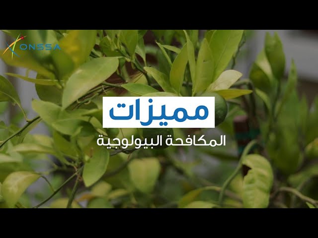 ONSSA - L'Office National de Sécurité Sanitaire des produits Alimentaires