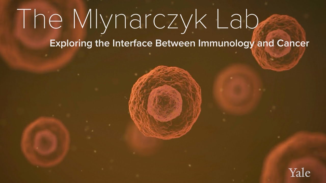 Immunology, Cancer, & Cell Metabolism - The Mlynarczyk Lab at Yale School of Medicine