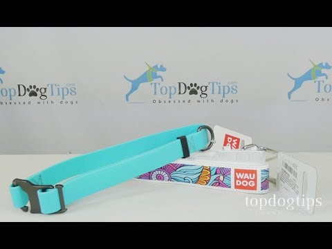 WAUDOG Leather and Waterproof Dog Collars Review