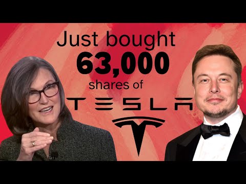 63,000 SHARES OF TESLA STOCK JUST BOUGHT 🔥🚀 TESLA STOCK PRICE PREDICTION UPDATE! {How To Invest}