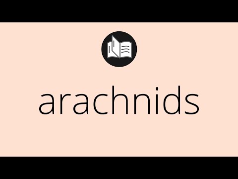 What ARACHNIDS means • Meaning of ARACHNIDS • arachnids MEANING • arachnids DEFINITION