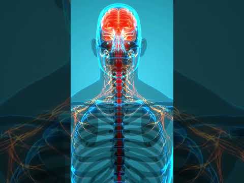 What does Tylenol do? #shorts #shortvideo #short #health #science #sciencefacts #medical #medicine