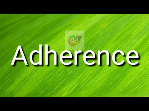 Adherence Pronunciation and Meaning //Googul Dictionary//