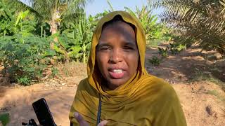 10 Things to Do at Garoowe Zoo in Somalia | Gems.Travel