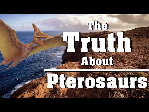What You Didn't Know About Pterosaurs (Deep Dive)