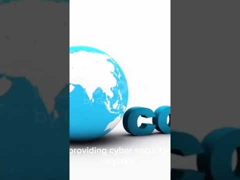 What is B2G(business to government)?