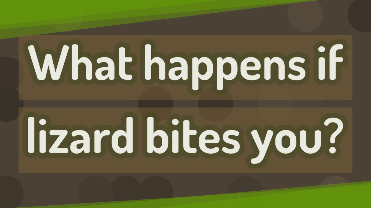 What happens if lizard bites you?