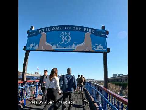Unveiling SF: The Magic of Pier 39