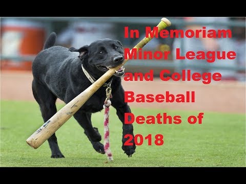 In Memoriam Minor League & College Baseball Deaths of 2018
