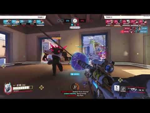 Steam Community :: Video :: Overwatch 2 Ana Sleep Dart Hamster
