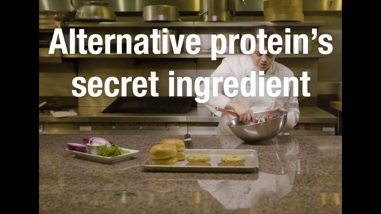 Alternative Protein's Secret Ingredient