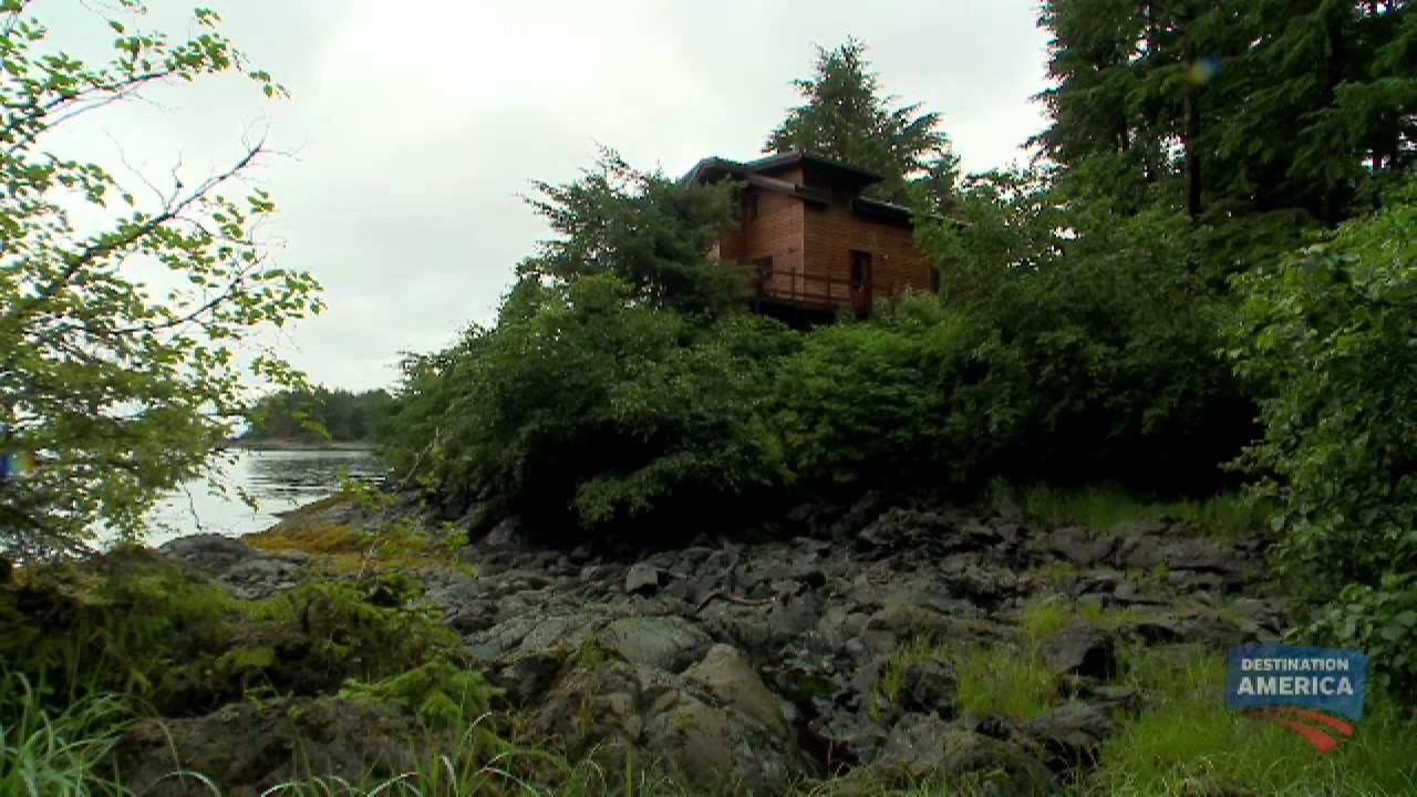 The Tree House | Buying Alaska