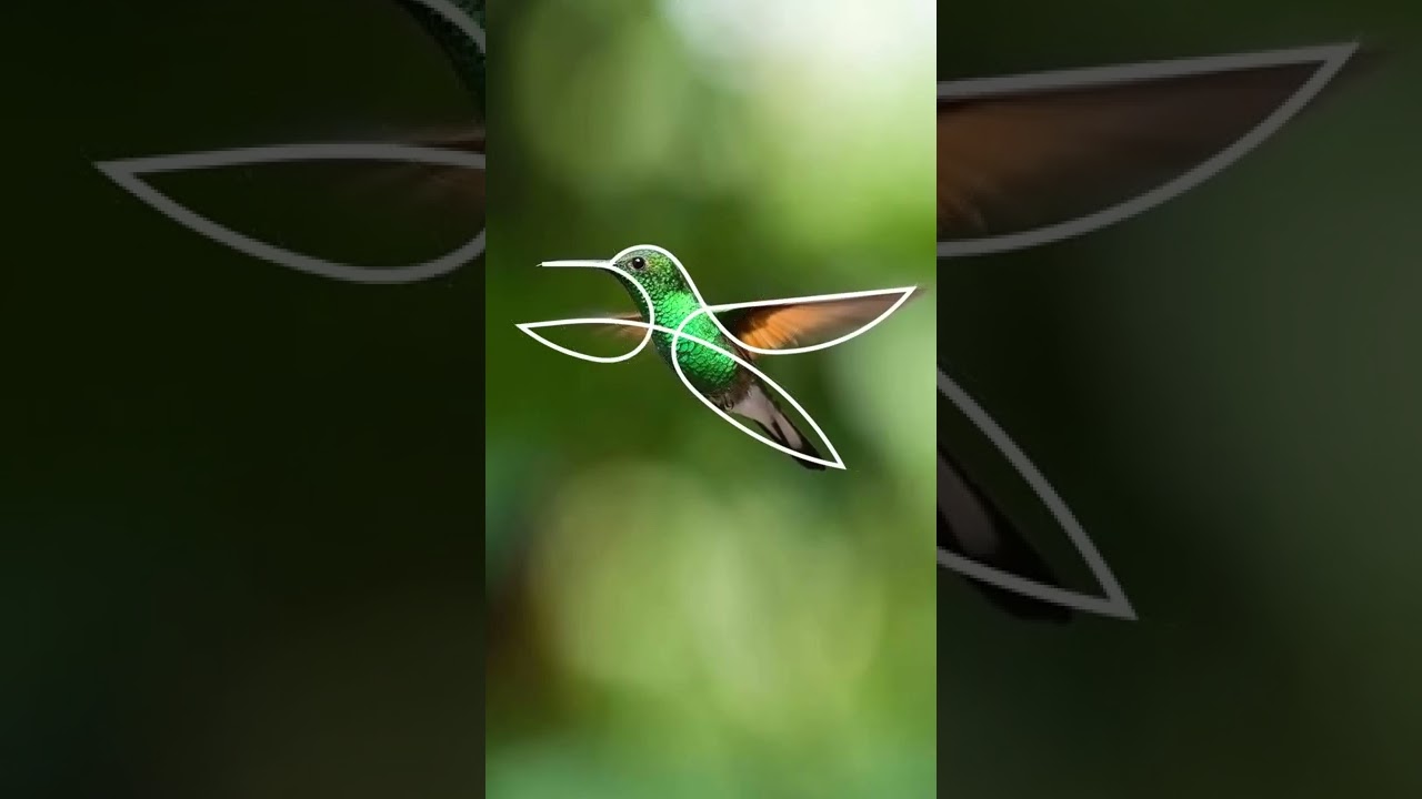 Minimal Bird Logo Design Hack #3 Sparrow Logo | Adobe Illustrator | Graphics Design | Creator Hack