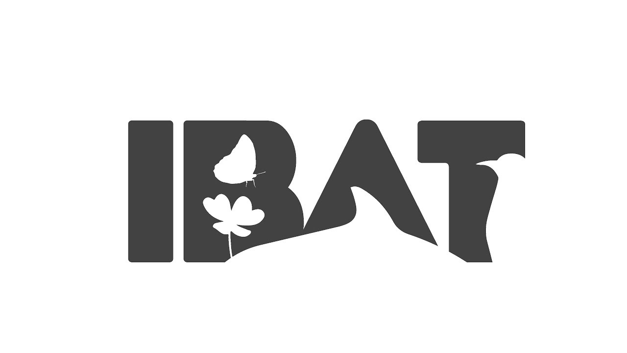 WHAT IS IBAT