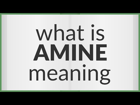 Amine | meaning of Amine