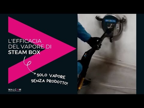 STEAM BOX DI TECNOVAP: efficacia e sicurezza per l'industria alimentare