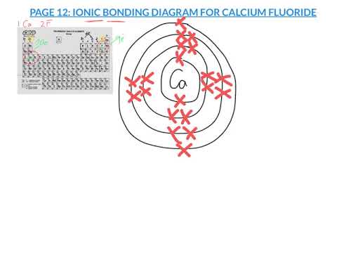 PAGE 12 IONIC BONDING DIAGRAM FOR CALCIUM FLUORIDE