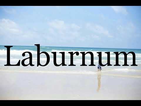 How To Pronounce Laburnum🌈🌈🌈🌈🌈🌈Pronunciation Of Laburnum