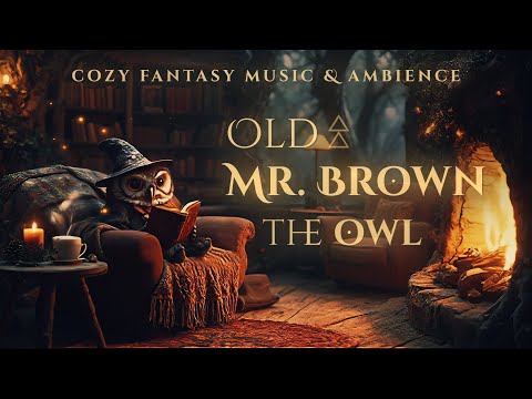 Old Mr. Brown the Owl in the Cozy Hollow • Forest Library Ambience & Subtle Reading Music