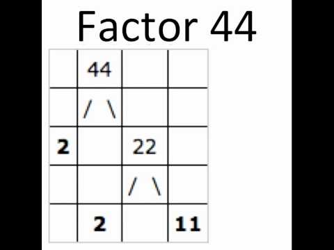 Factor A 44