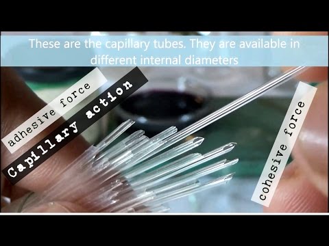 Capillary Tubes - Glass Capillary Latest Price, Manufacturers & Suppliers